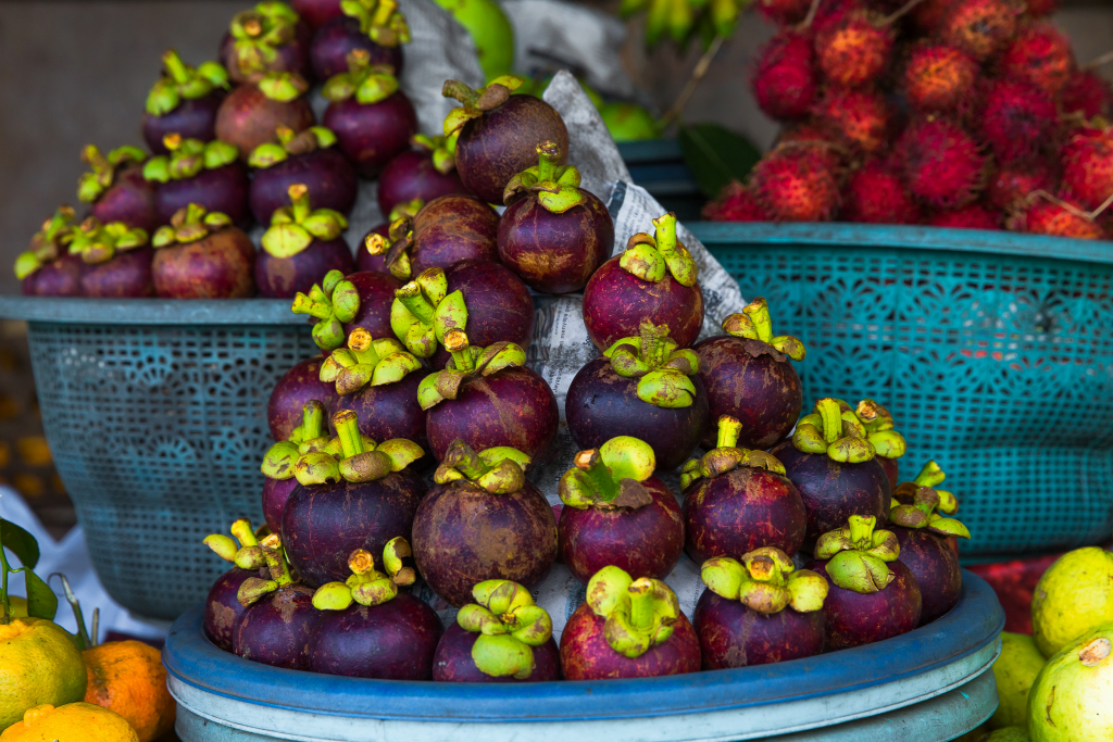 Mangosteen fruit: benefits and harms, how to clean and eat mangosteen