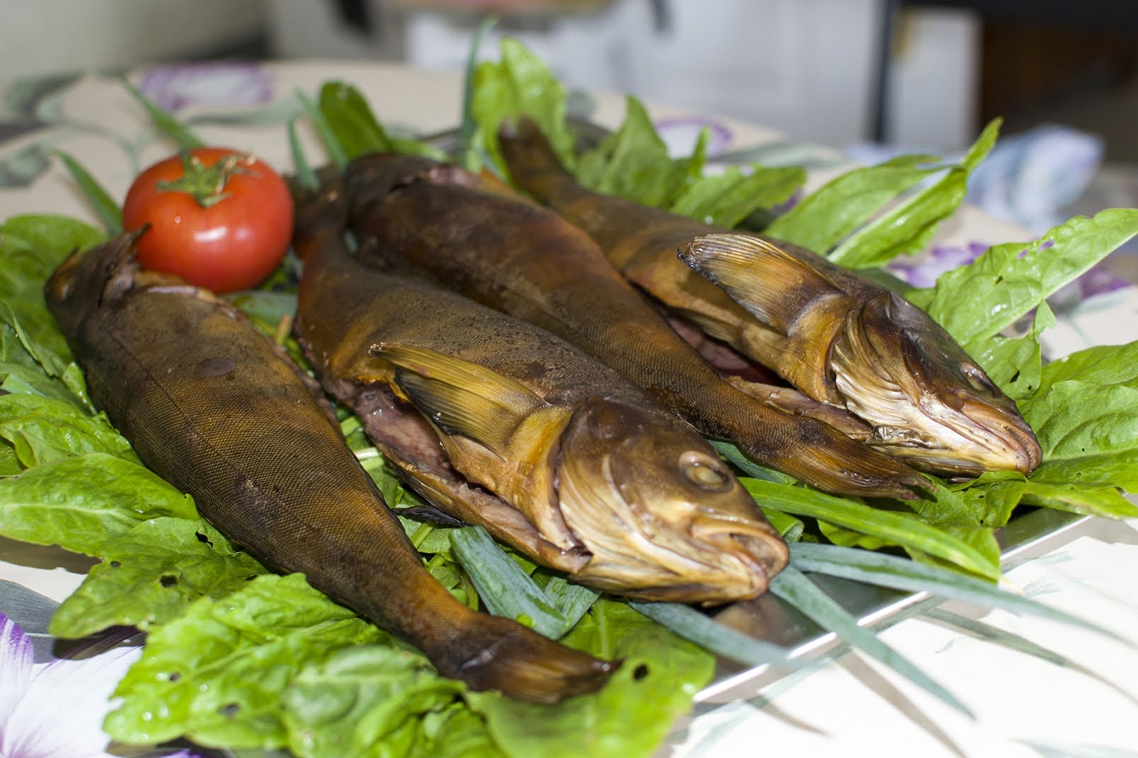 Terpug - quel genre de poisson et comment le cuisiner? 6 recettes ...