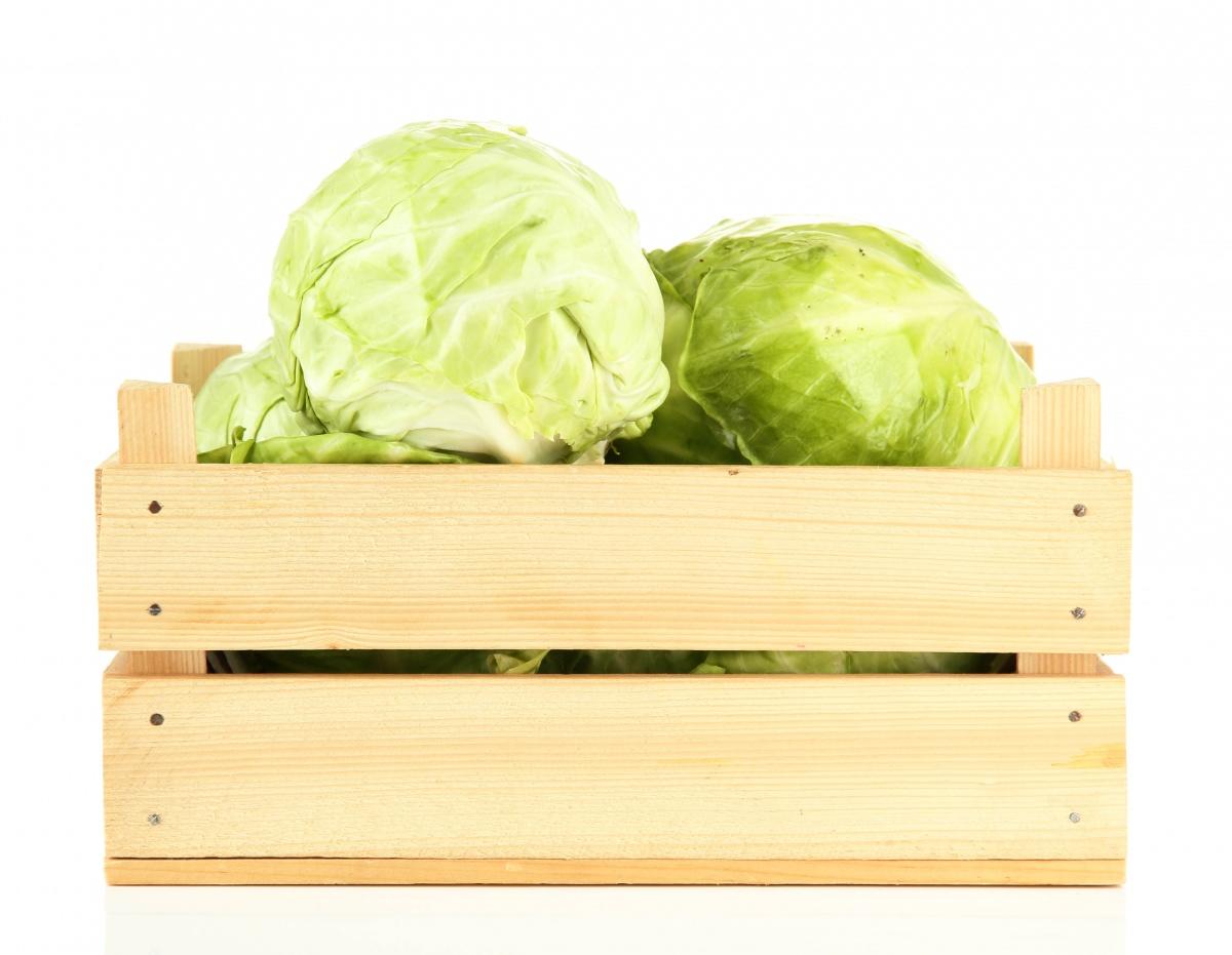 How to store cabbage in a cellar or basement in winter, to keep until ...