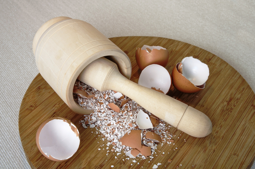 Egg shells as fertilizer for the garden: how and for which plants to apply