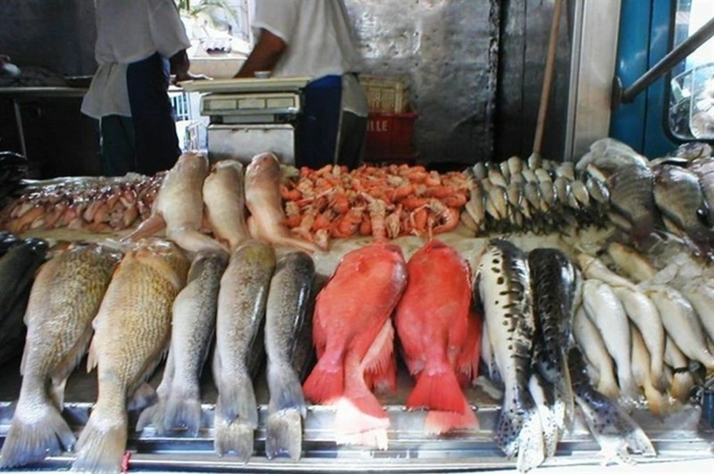 Poisson Hoki (Macroronus) - 5 recettes de cuisine délicieuses